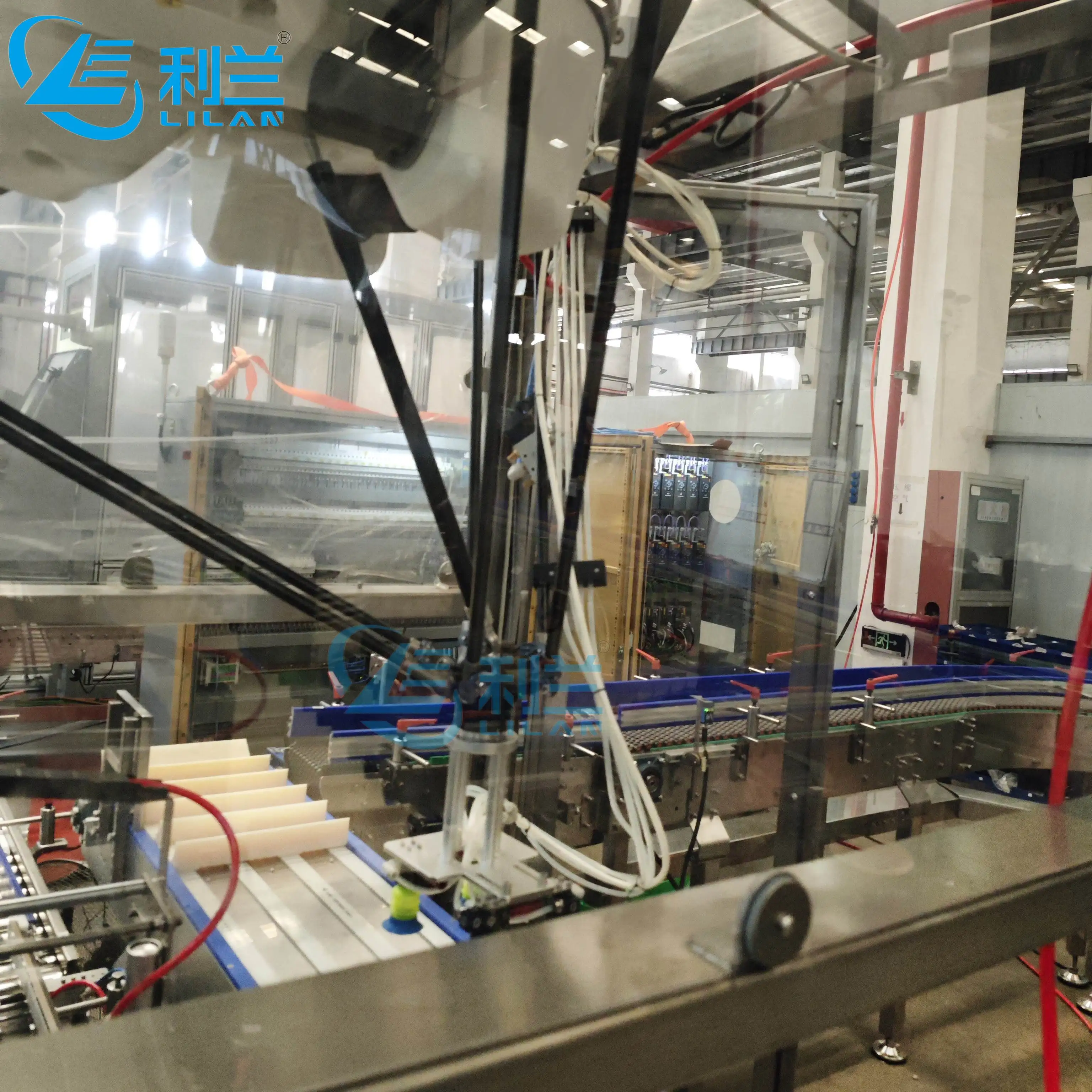 Automatic Delta Robot Case Packer for High Productivity