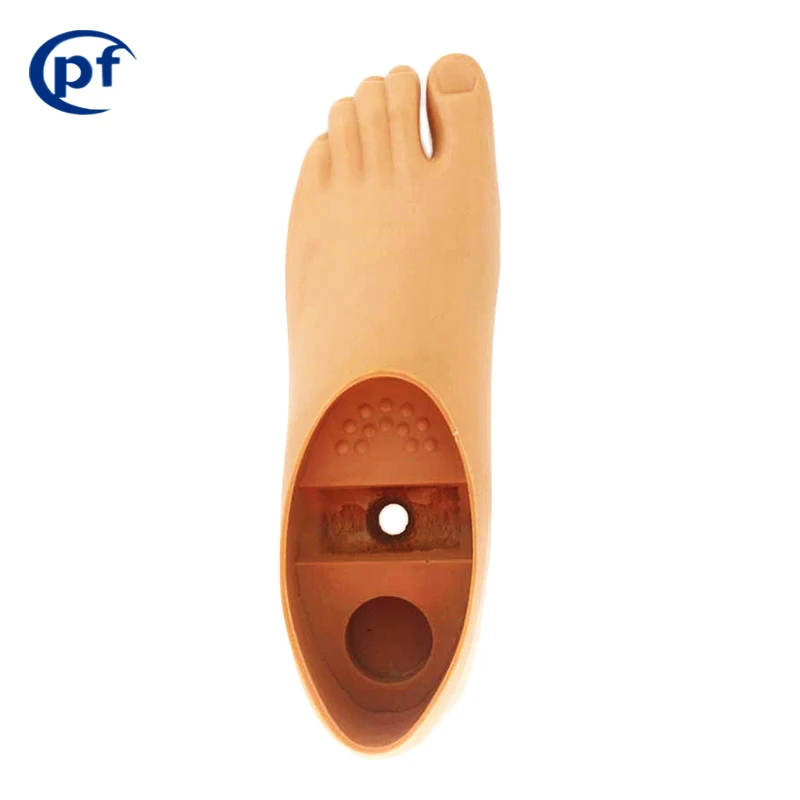 Artificial Limbs Foot Prosthetic Toes Prosthetic Foot One Hole Single ...