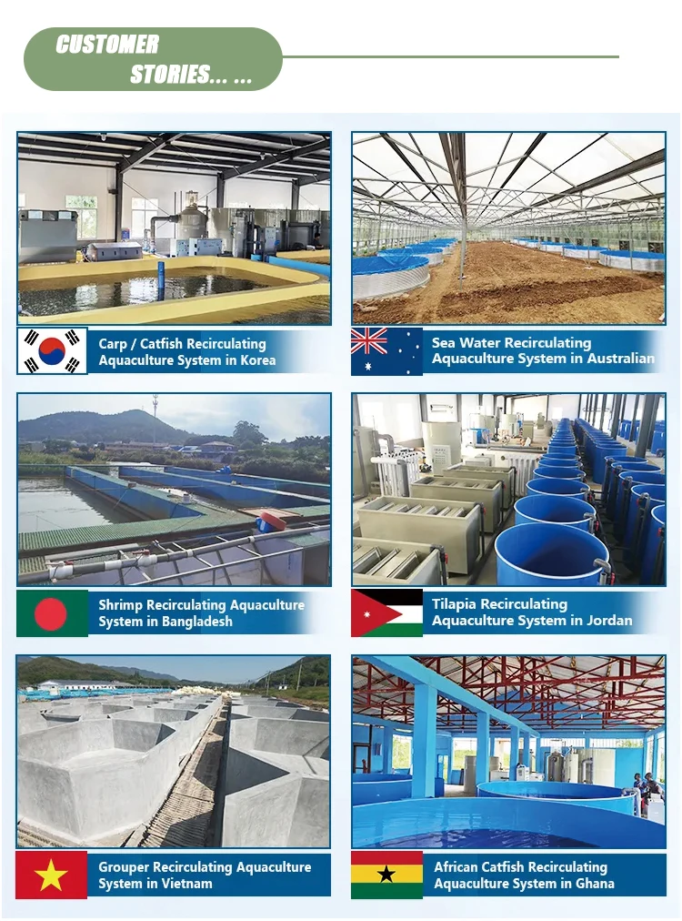 Ras System Aquaculture Pond Farming System Shrimp Tilapia Fish Farming ...