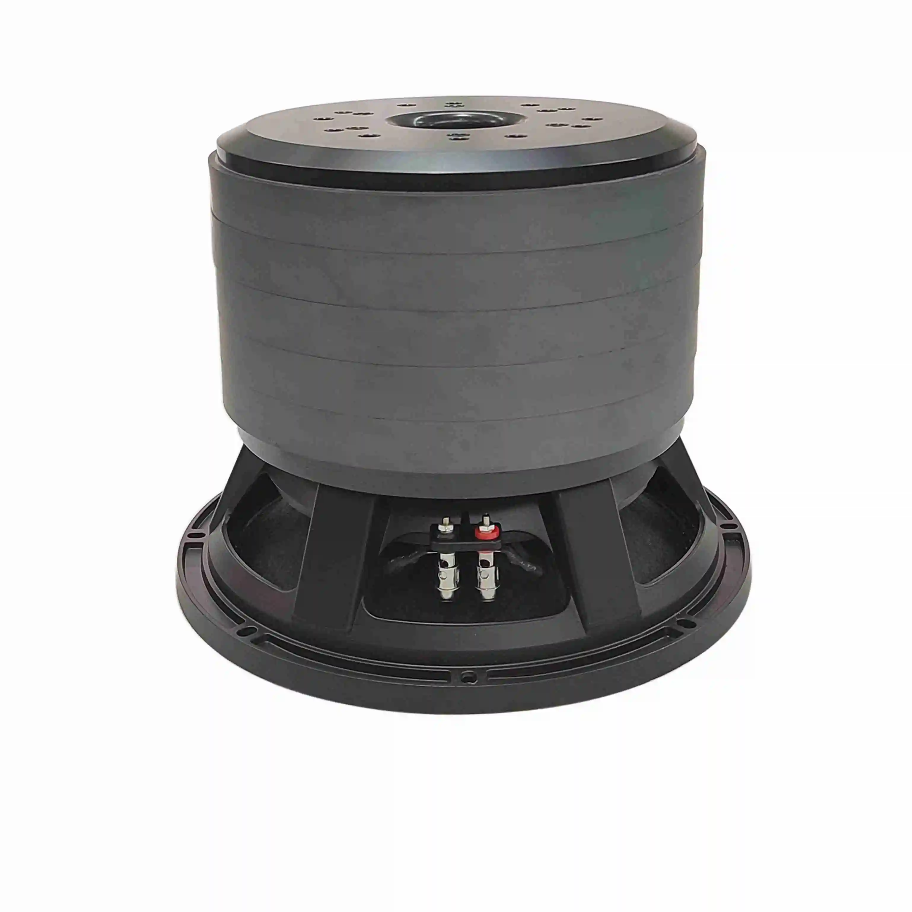 Big Power 12 Inch Subwoofer 3000W - Professional Speaker