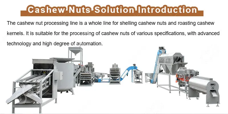 500kg/h Kaju Shelling Production Line - Automatic Cashew Nut Processing Machine