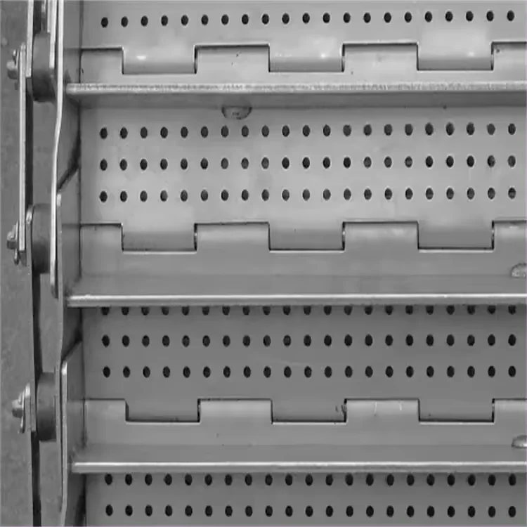 Chain Plate Conveyor - Efficient Vegetable Washing Line