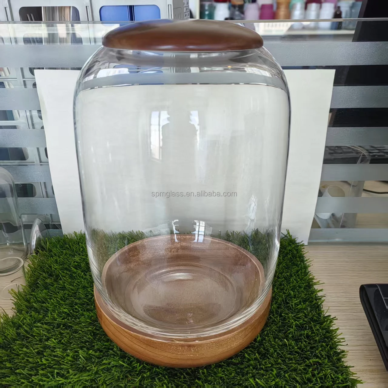Modern Hydroponic Desktop Indoor Terrarium Glass Vase With Natural Wood ...
