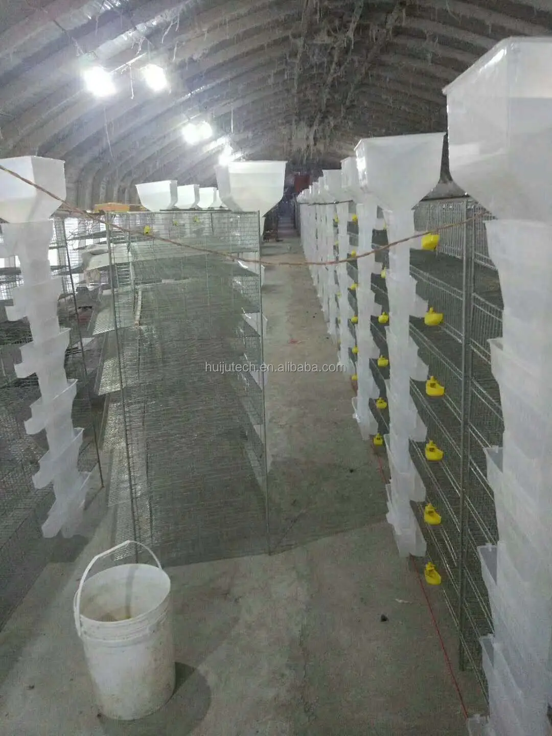 Automatic Egg Collecting Quail Cage - Durable & Efficient