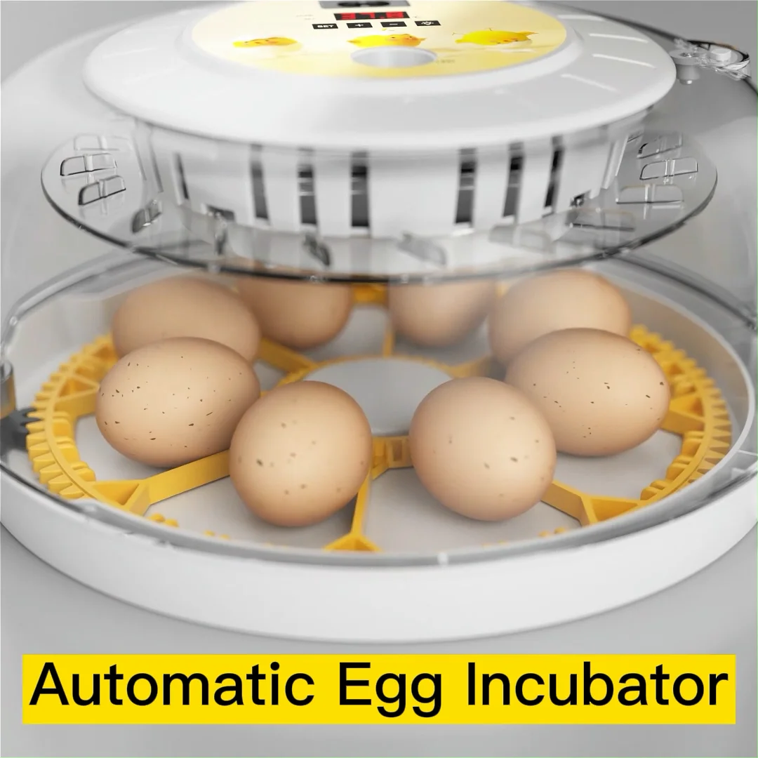 18 Eggs Incubator Fully Automatic Chicken Egg Incubator And Hatcher ...
