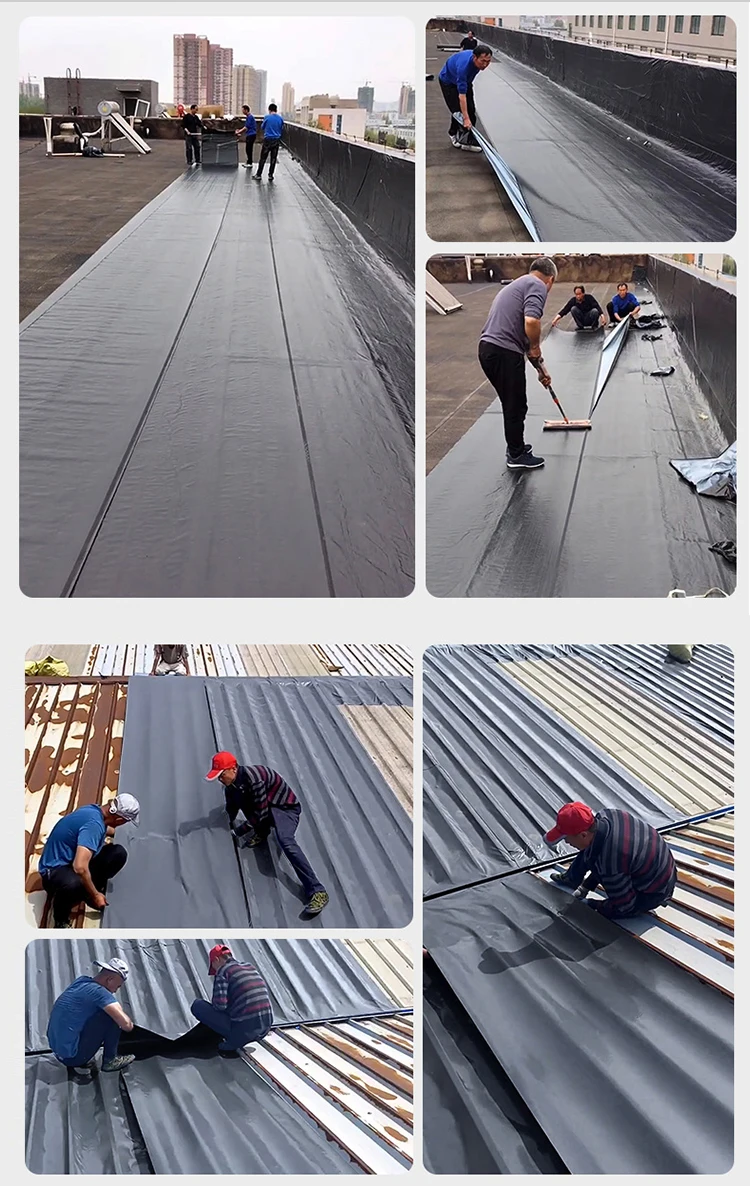 Sbs Modified Asphalt Roofing Membrane/felt 2mm Epdm Swimming Pool Fish ...
