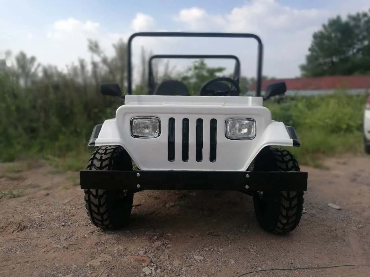 150cc 200cc Willys Mini Jeep Kids Adult Electric Atv Utv Car