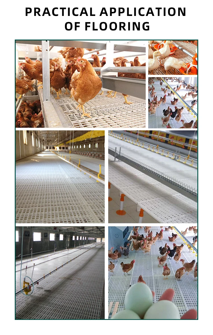 Plastic Poultry Slat Floor - Durable & Hygienic Chicken Housing