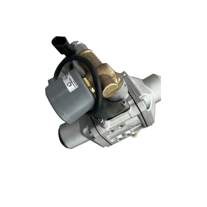CNG LNG Natural Gas Engine Parts - Weichai NG2-8 1001482916