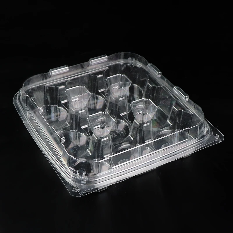 9 Cells Plastic Pastry Container Clear Clamshell Food Container Small ...