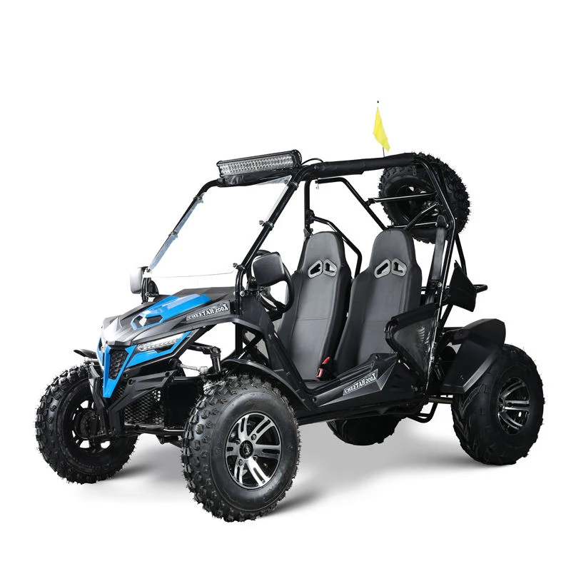 200cc 500cc Dune Buggy Adult Go Kart Every Conditions 1100cc Utv Buggy 4x4 - Buy 2021 45km/h ...