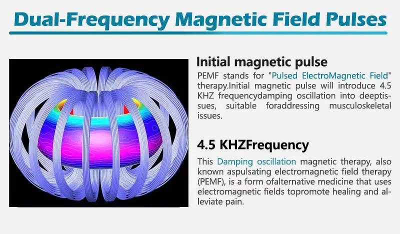 PMST LOOP PRO MAX Equine Physiotherapy for Body Pain Relief