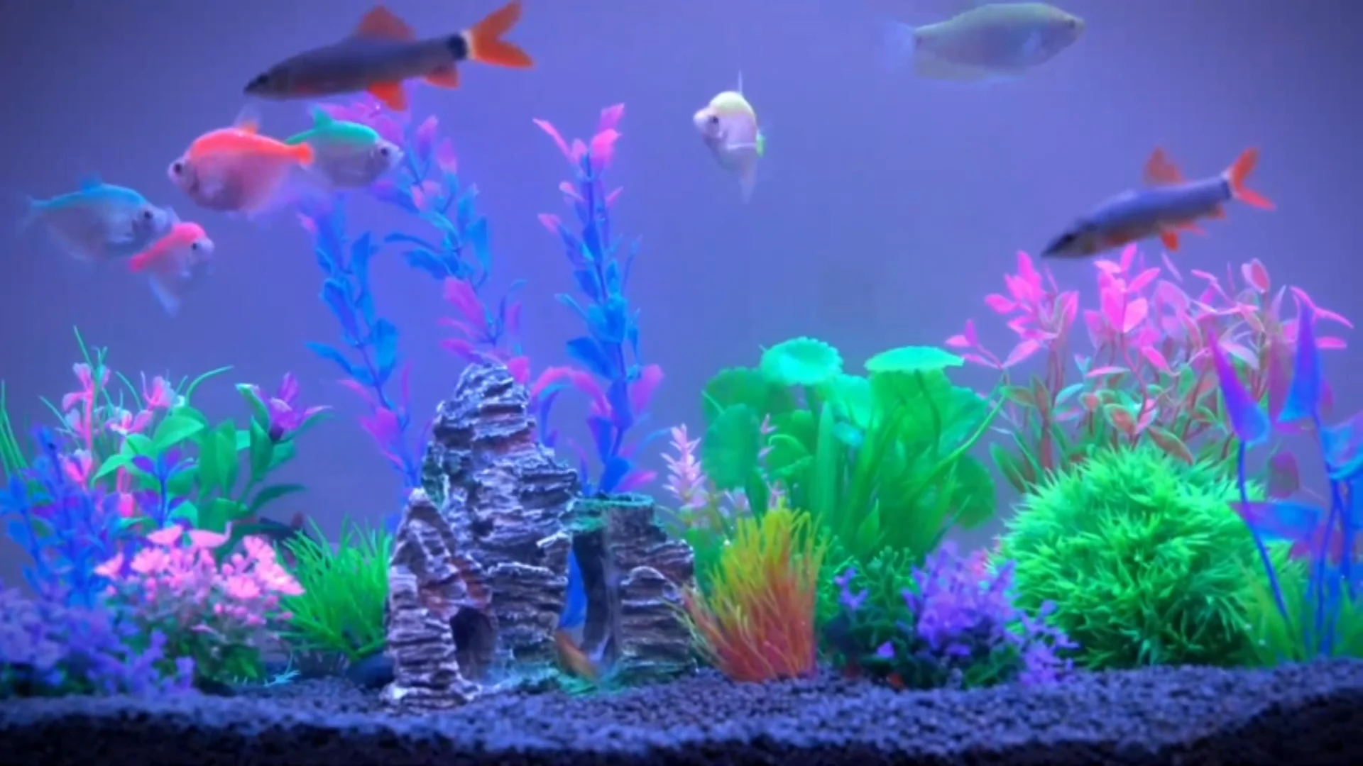 Artificial Fish Tank Plants Cave Rock Aquarium Accessories Artificial ...