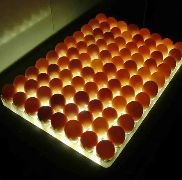 88 Chicken Egg Tester Table - Automatic Egg Incubator for Bird Hatching ...