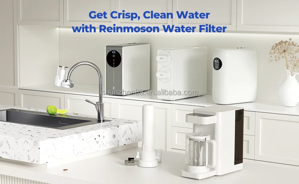 Domestic 800GPD Mini RO Water Purifier Tankless RO Water Filter System ...