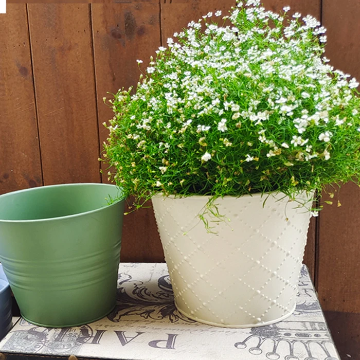Embossed Wave Point Metal Plant Pot Pastel Galvanized Flower Metal ...