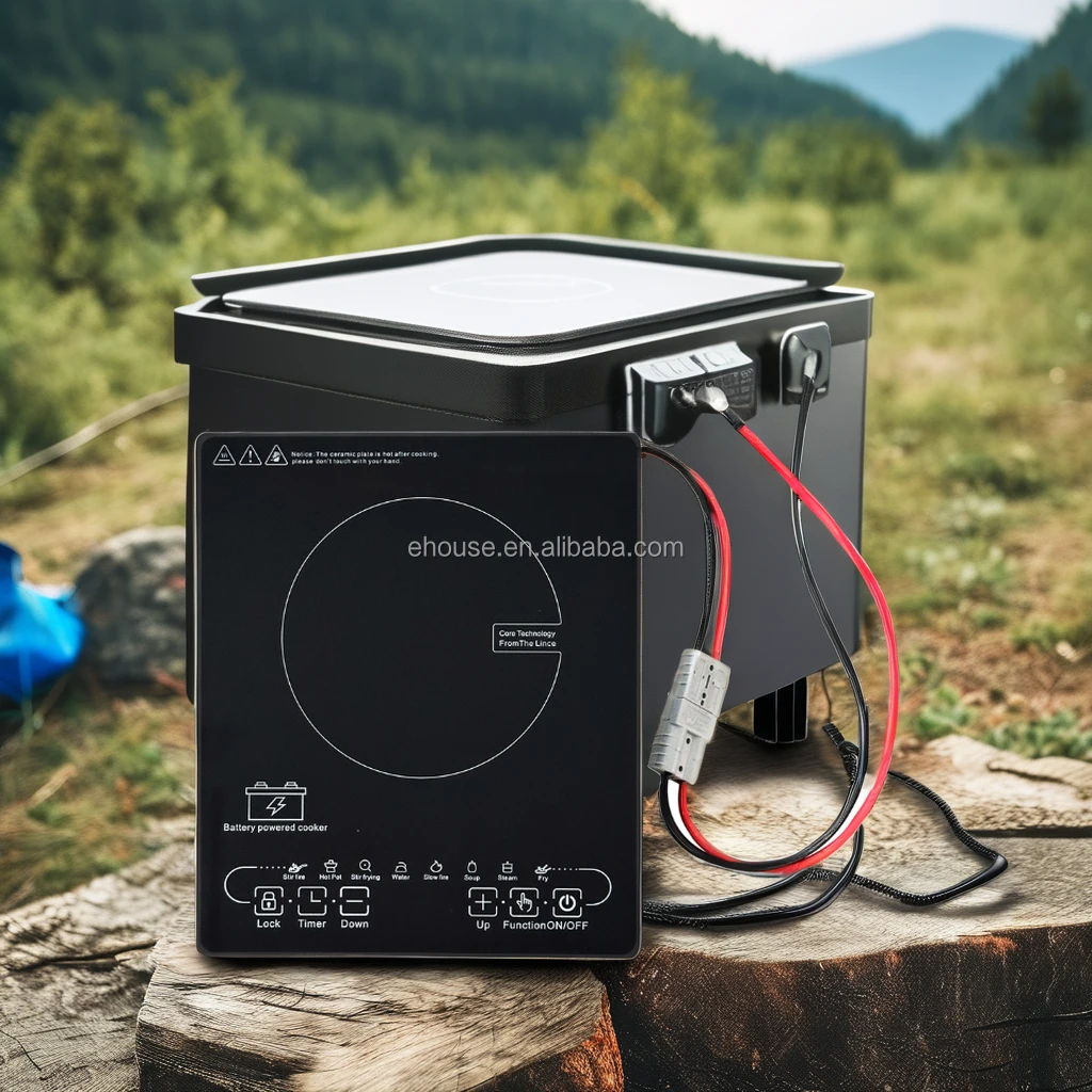 Portable 48V DC Induction Cooker| Alibaba.com