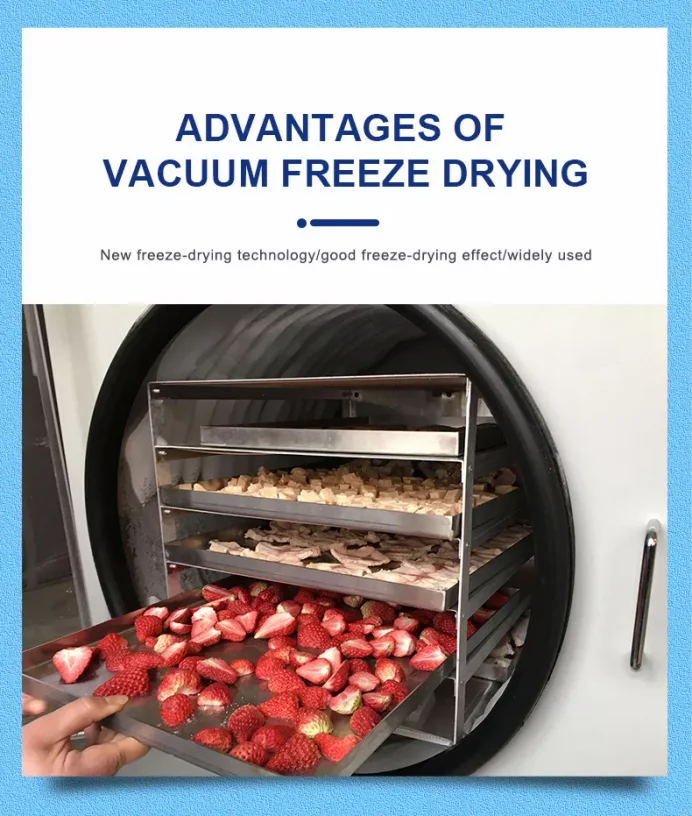 High Output Vacuum Freeze Drying Machines Vacuum Liofilizador Food ...