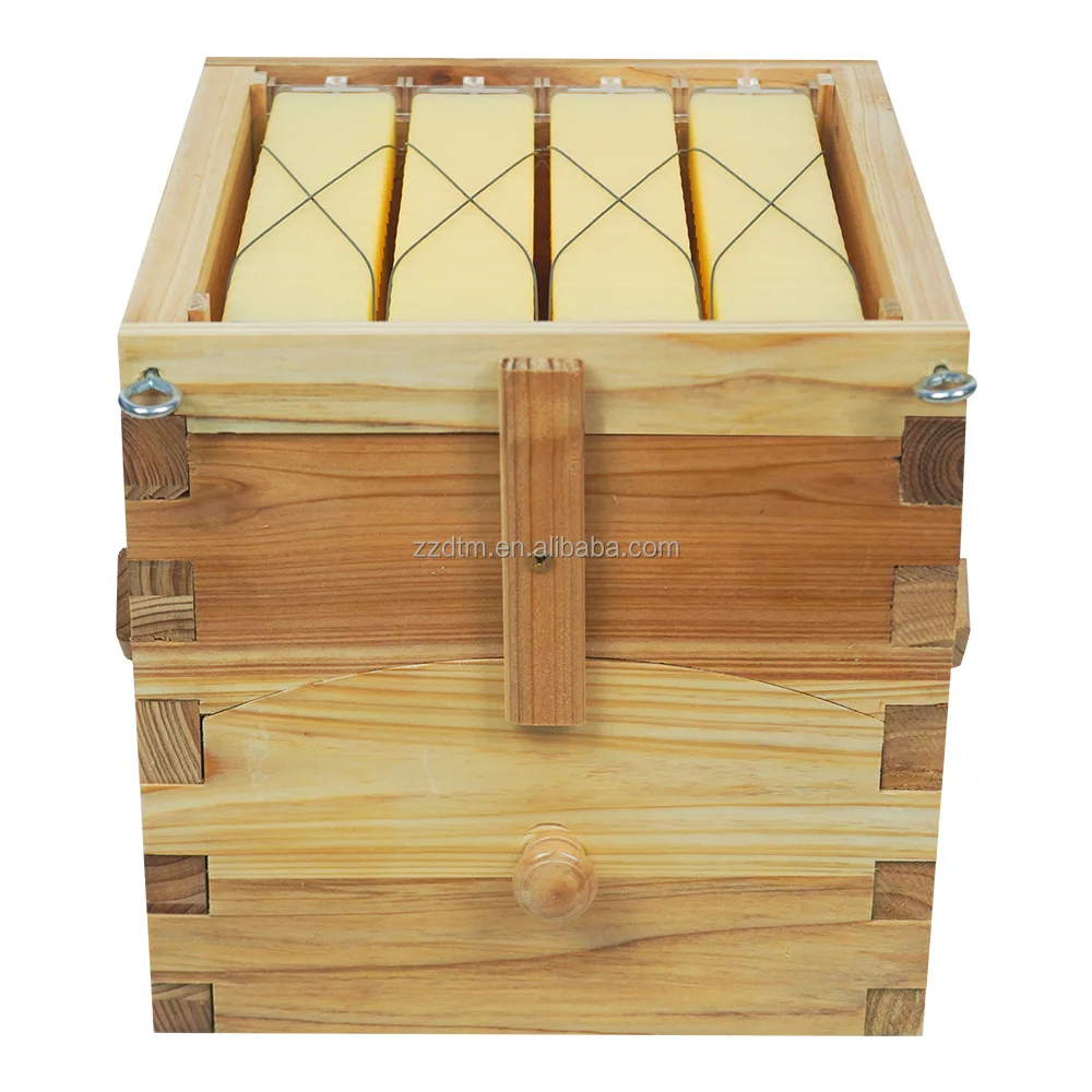 Piculture Complete Auto Beehive Starter Mini Auto Flowing Honey Hive ...