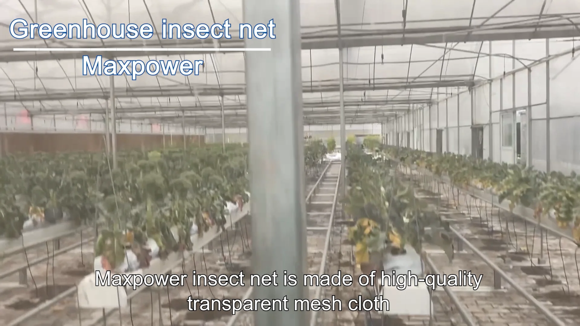 Green House Micro Mesh Insect Netting - Buy Agricultural Anti Insect ...