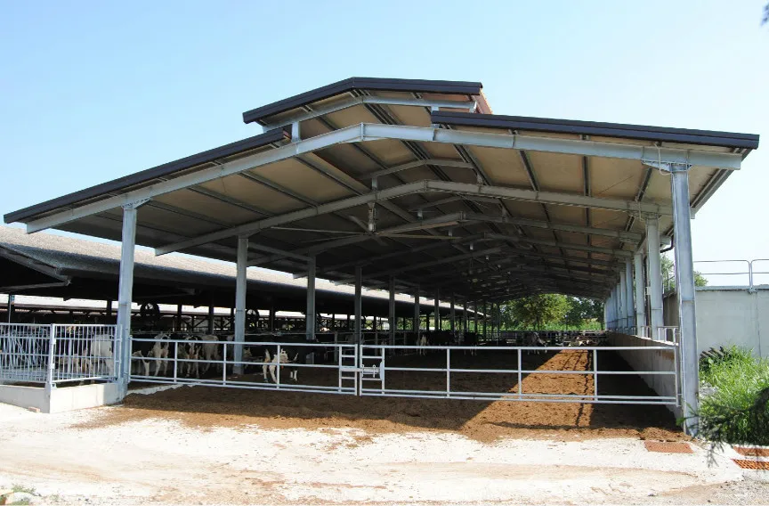 Steel Cattle Shed Bull Shed Cow House Barn - Durable & Modern