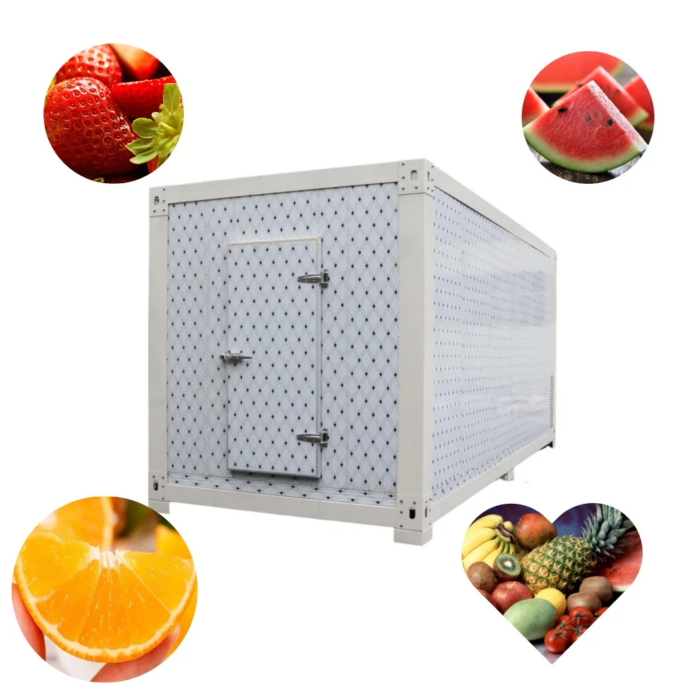 20Ft 40Ft Easy to install cold store freezer room cold storageor food ...