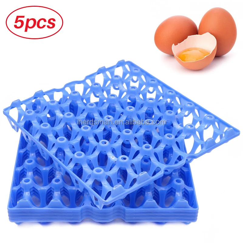 Reusable Plastic Egg Trays - Efficient Packing Solutions