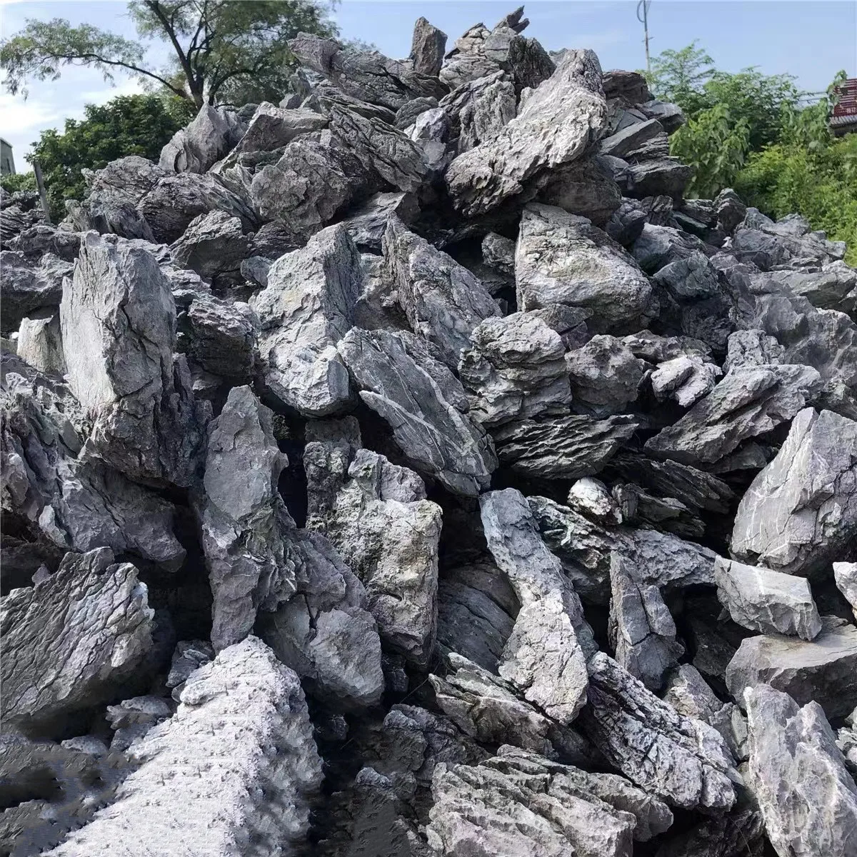 Seiryu Stone for Natural Landscape Greening in Aquariums