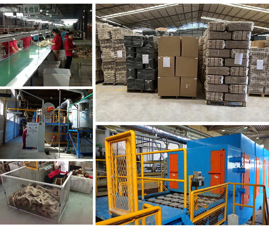 Manufacturer Custom Eco Quail Egg Packaging 12 6 4 Paper Pulp Box Egg ...