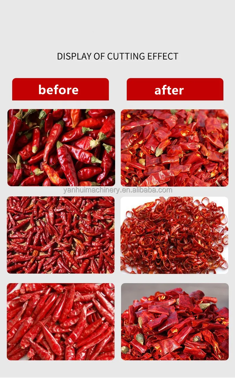 Fresh Chilli Deseed Machine/ Dried Chili Seed Separating Machine/ Hot ...