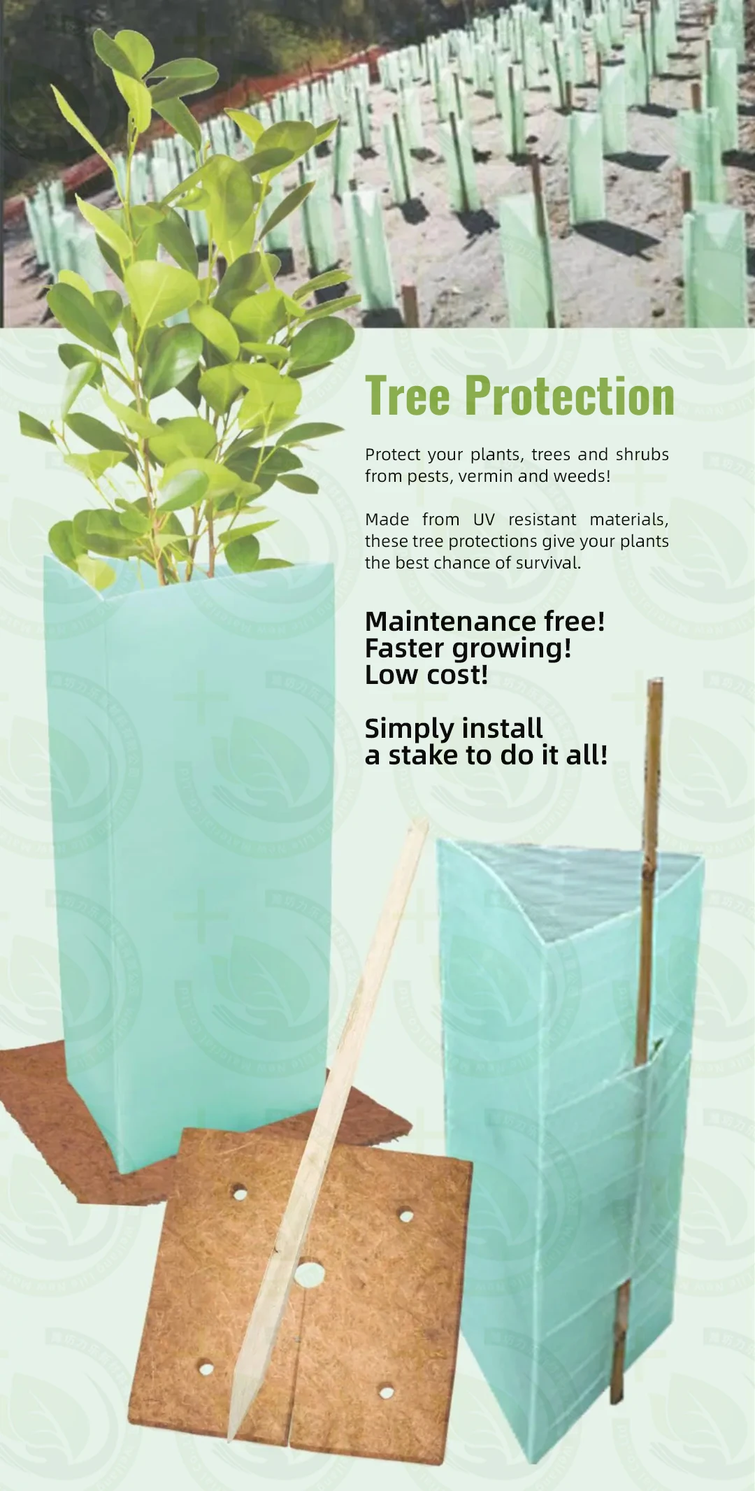 UV Processed Plastic Tree Protection Tubes for Young Seedlings