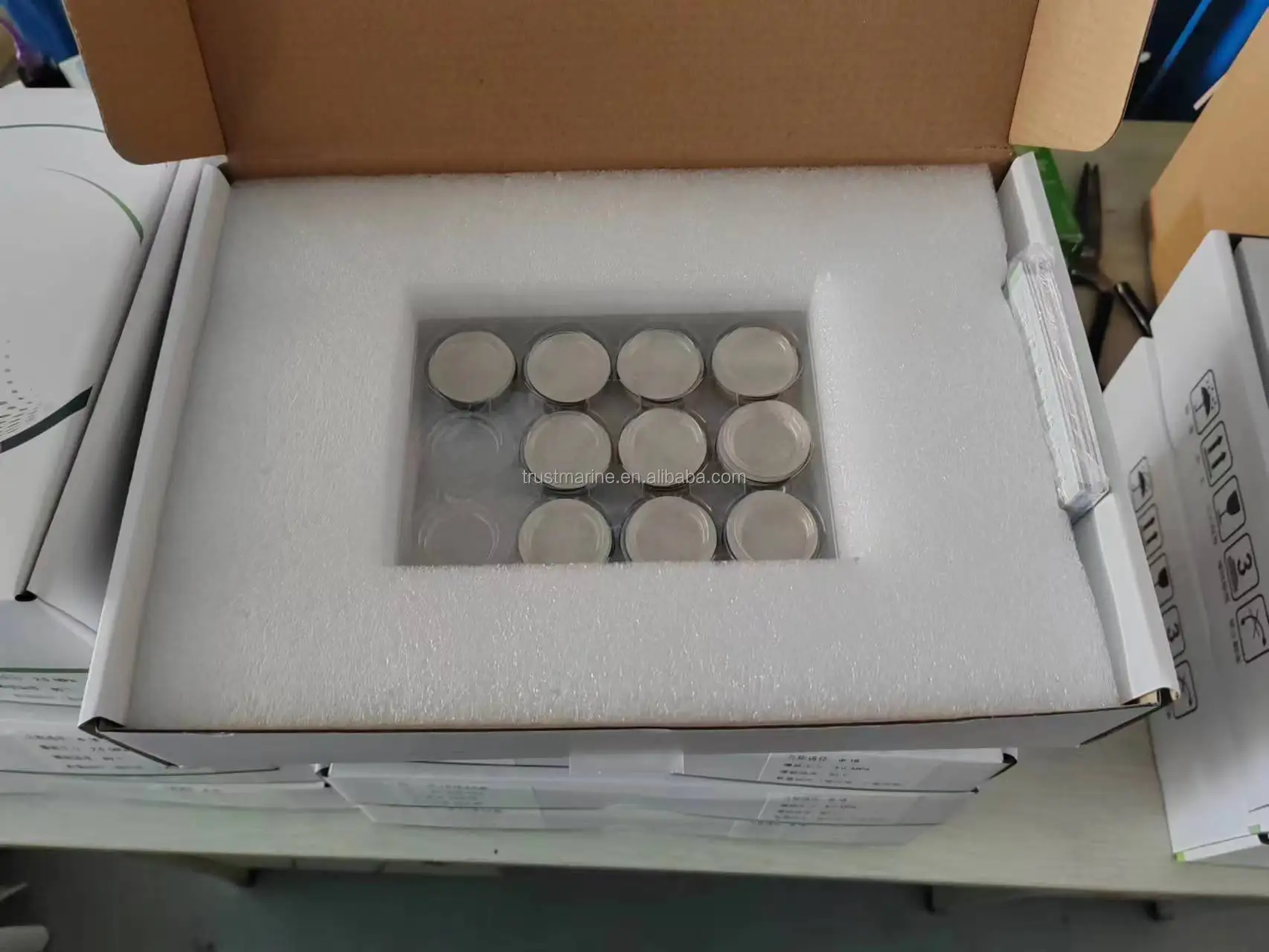 Customized Small Size Bursting Rupture Disc for Oil & Gas