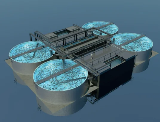 RAS HATCHERY System - Efficient Aquatic Farming Solutions