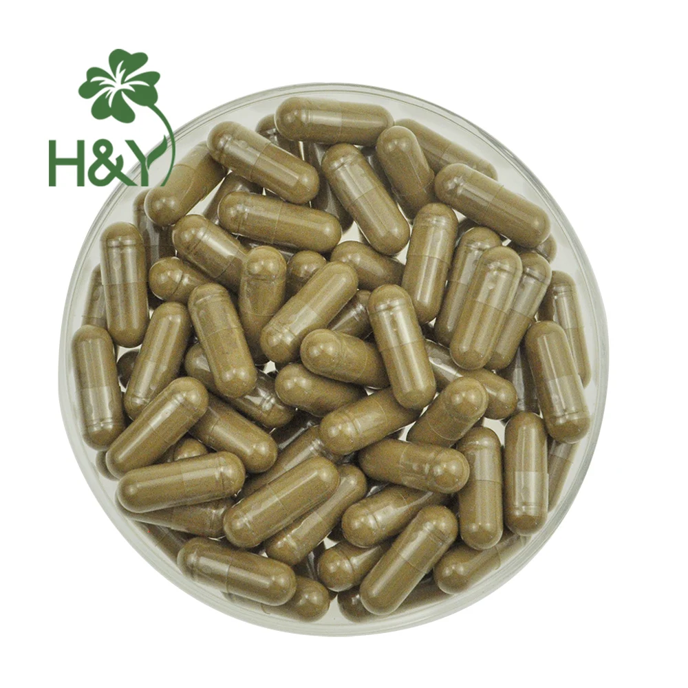 Multi Mushroom Extract Capsules - Health Food Supplement