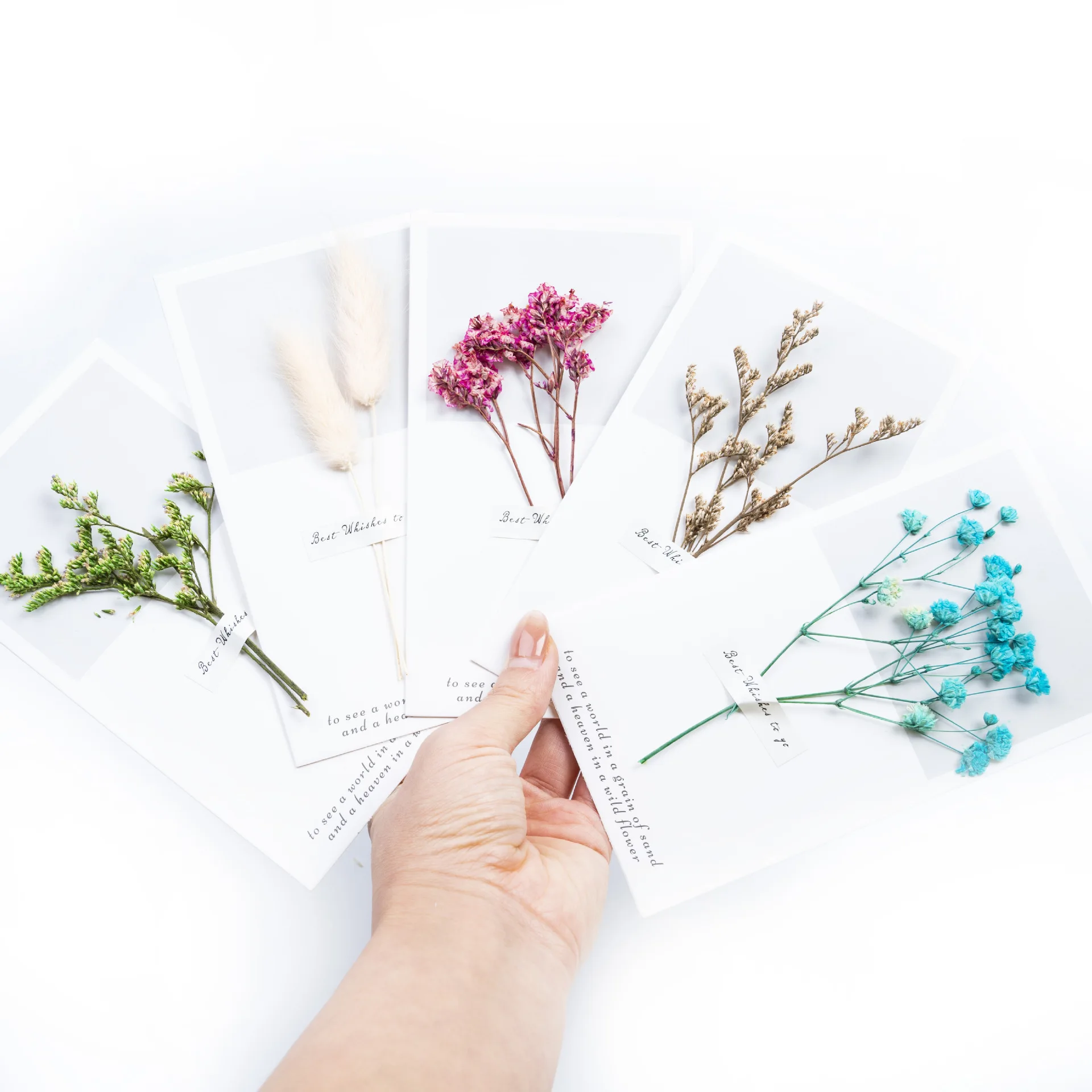 Dried Flowers Greeting Cards Mini - Perfect for Any Occasion