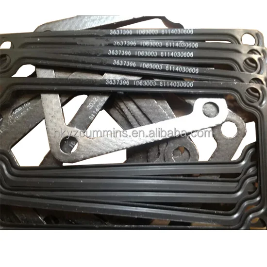 3637396 Diesel Engine Parts - KTA38, KTA19, KTA50 Gasket