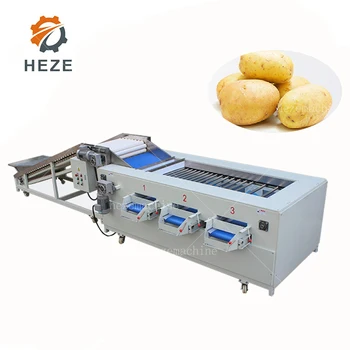 Automatic Sweet Potato Grading Machine Potatoes Size Or Weight Grader Equipment Vegetables ...