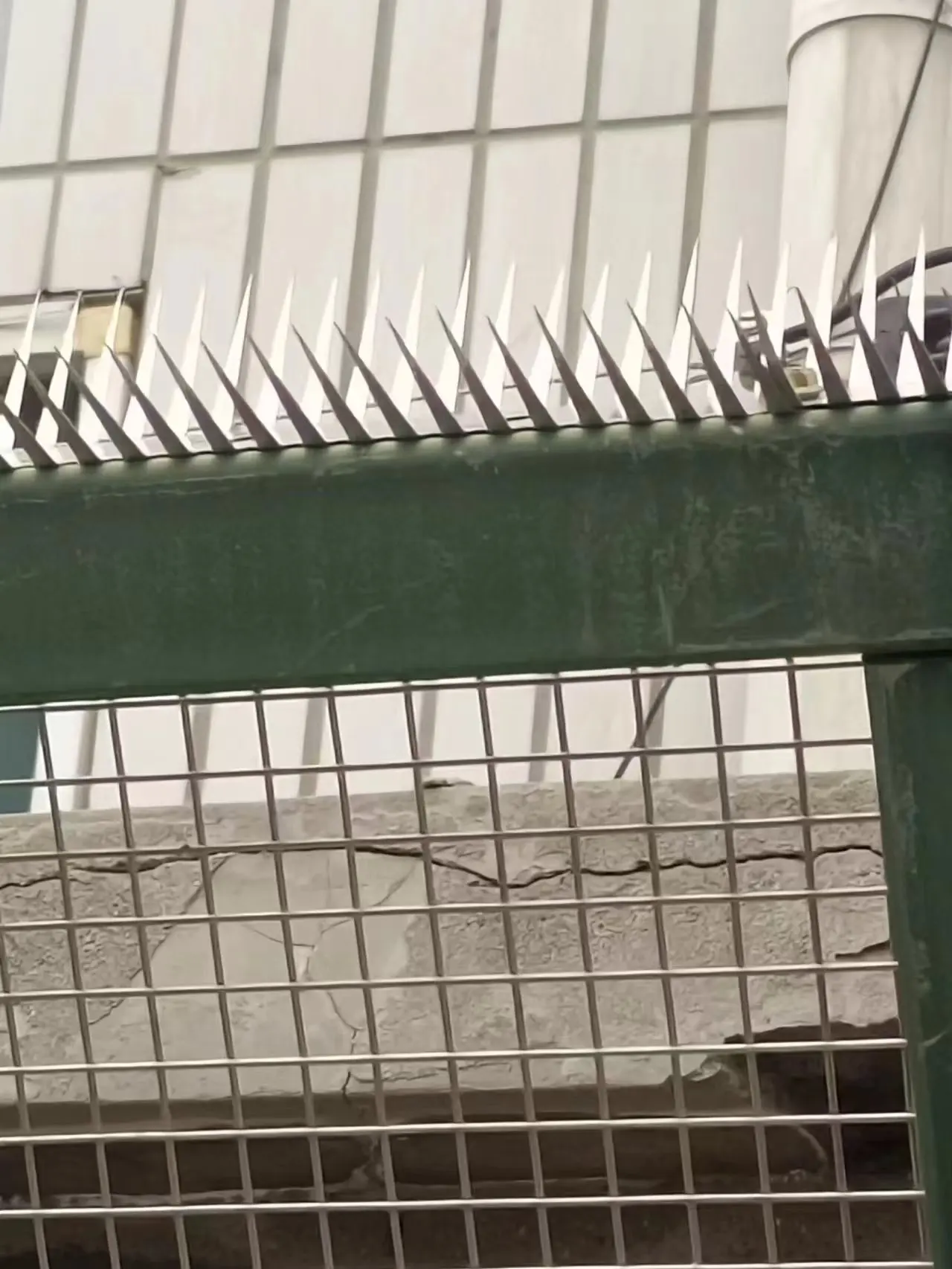 Construction Safety Wall Razor Spikes Galvanized Anti-Climbing Nails ...