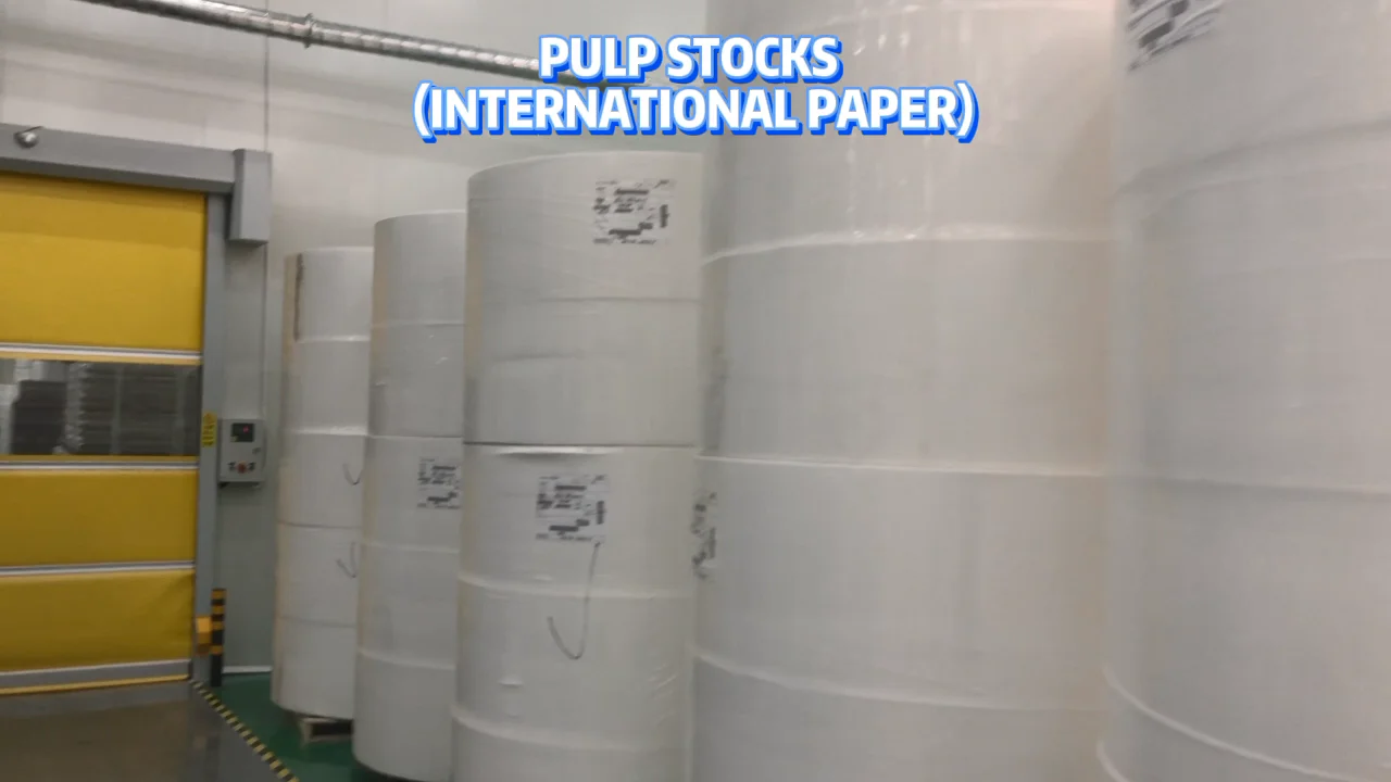 Focus Raw Material Usa Wood Pulp Paper Roll For Making Baby Diapers And ...