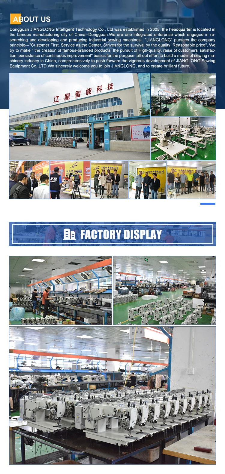 0303D-C560MM Lockstitch Industrial Sewing Machine for Leather