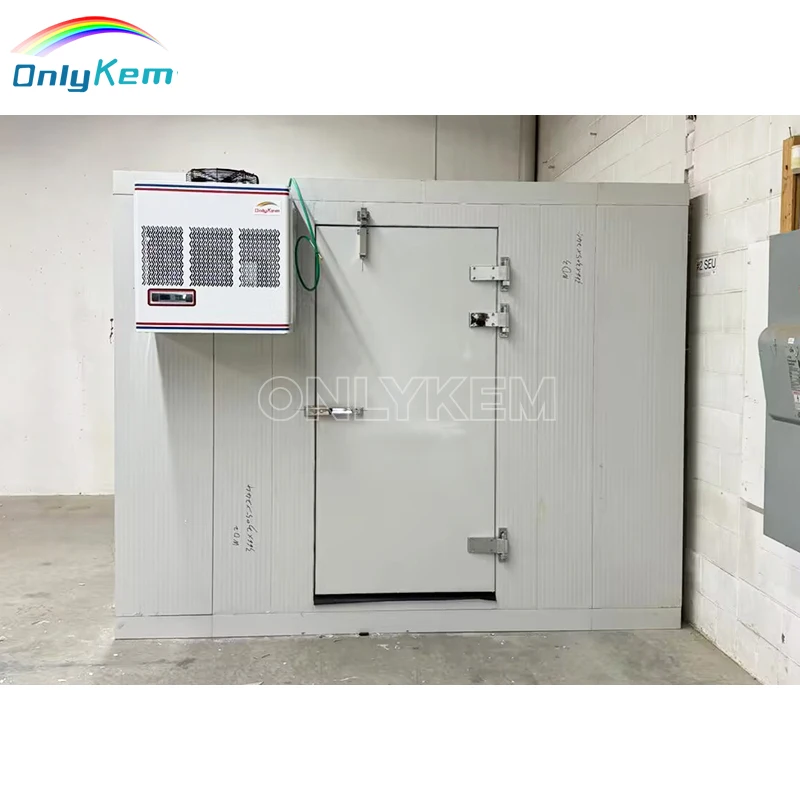Positive and Negative Walk in Chiller Room Freezer Room for Sale in USA