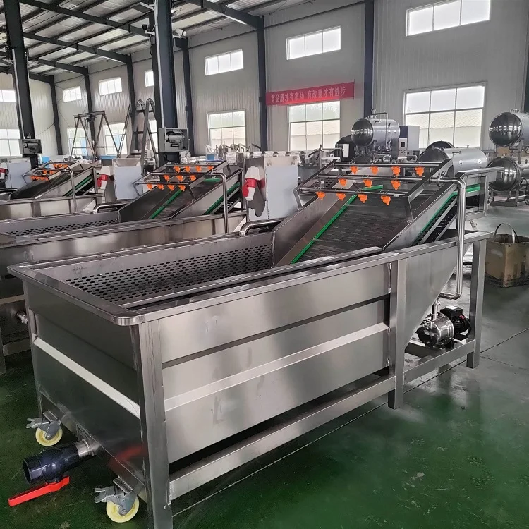 High Quality Squash Pea Scallion Washing Machine Sale