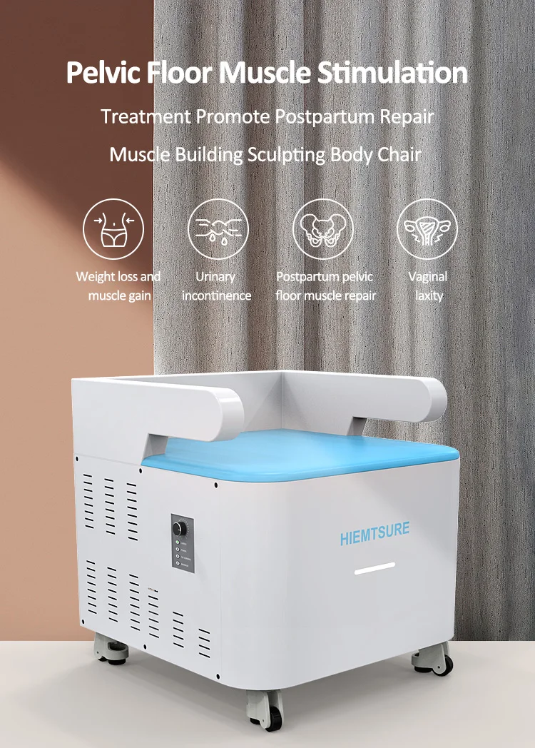 Dropshipping Products 2024 Pelvic Floor / Pelvic Floor Device / Pelvic ...