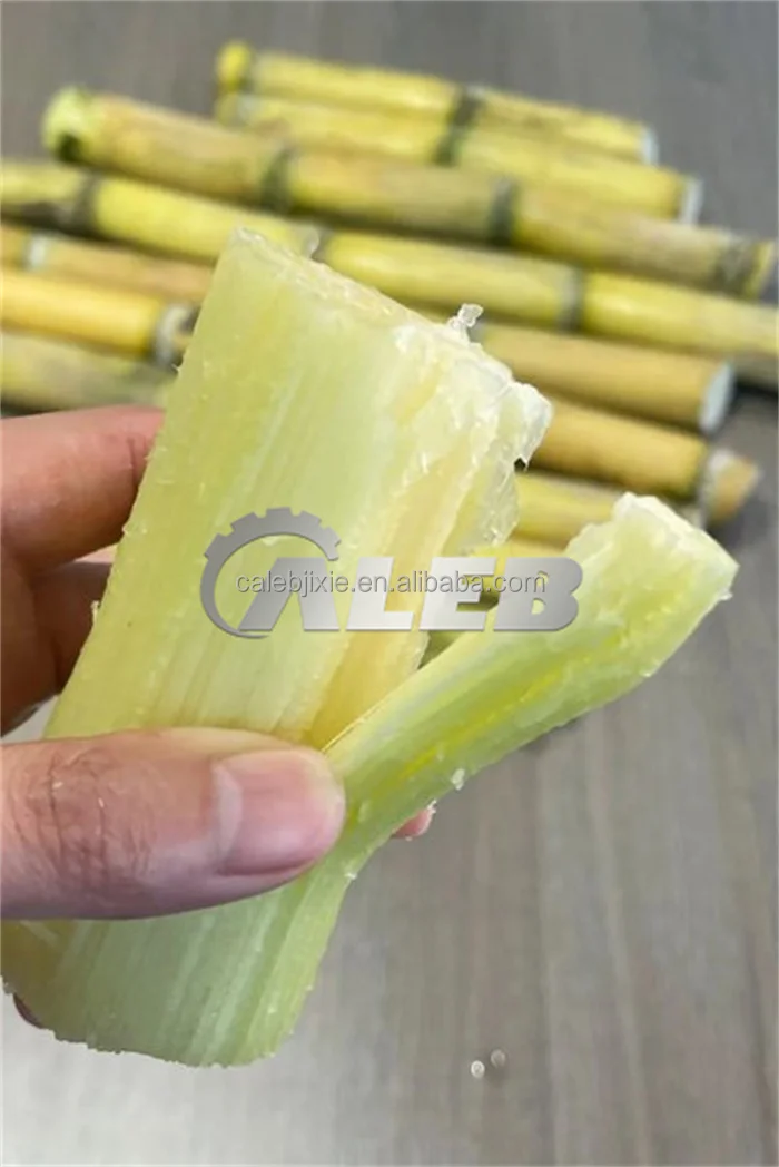Sugarcane Peeling Machine Commercial Sugarcane Peeling Cutting Sugar ...