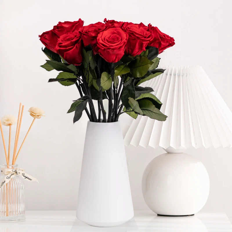 Preserved Rose with Stem in Ceramic Vase for Home Decor