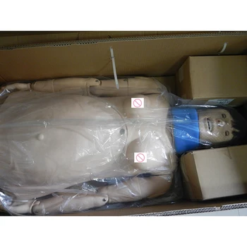 Maternal & Neonatal Delivery Emergency Simulator,Gynecological ...