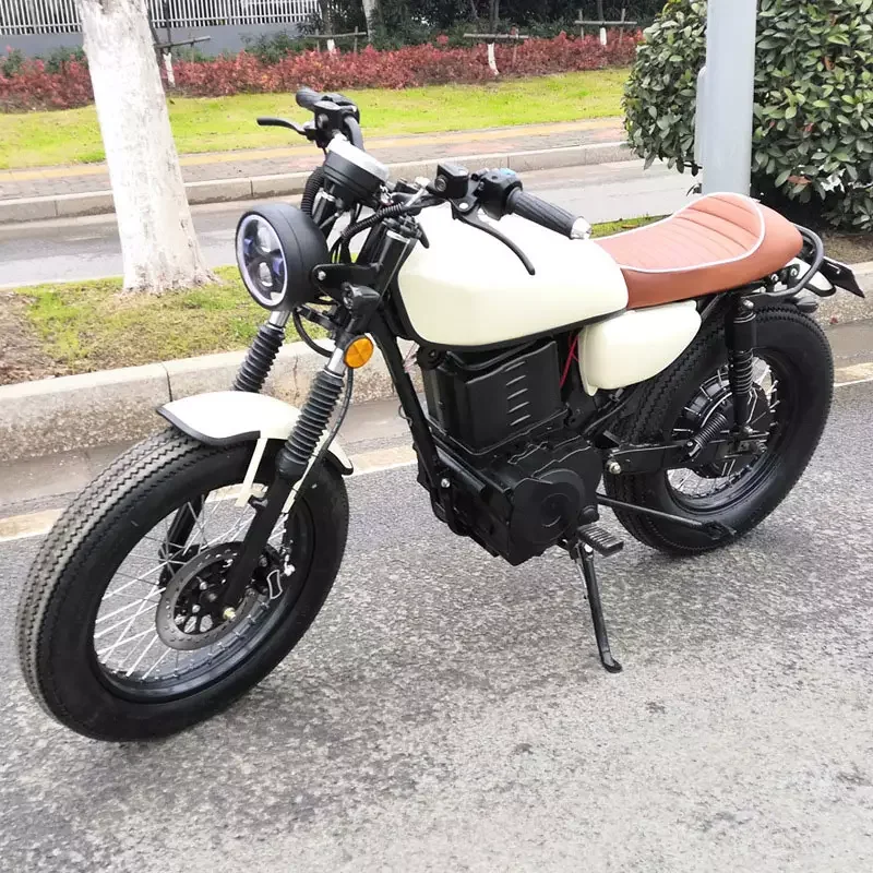 Vintage Motorcycle Outlook Electric Bike Motorcycle 30ah Lithium ...