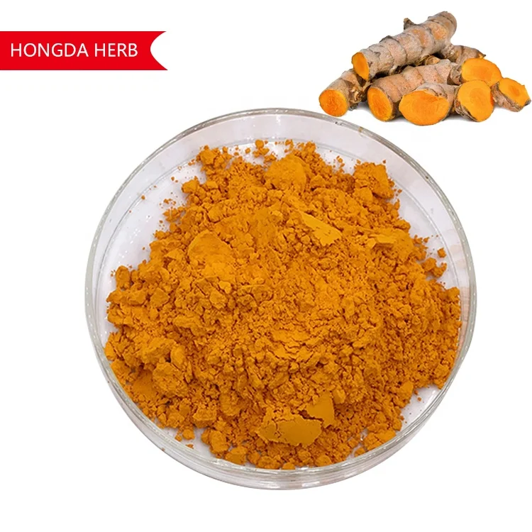 Hongda Turmeric Extract Turmeric Root Extract Powder Curcumin 95% ...