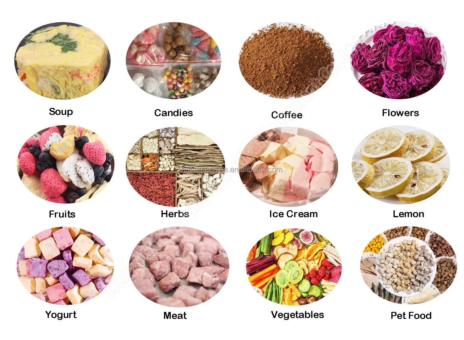 Sublimation Condensation Dryer Freeze Drying Machine Price Strawberry ...