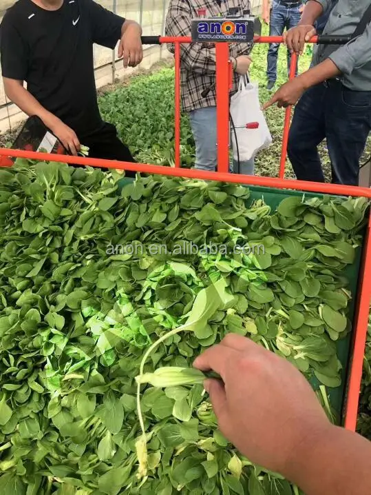 ANON Self-Propelled Vegetable Cutting & Harvesting Machine for Lettuce ...